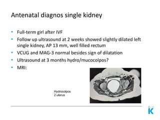 Anomalies of the female interna genitalia GH 23.pdf