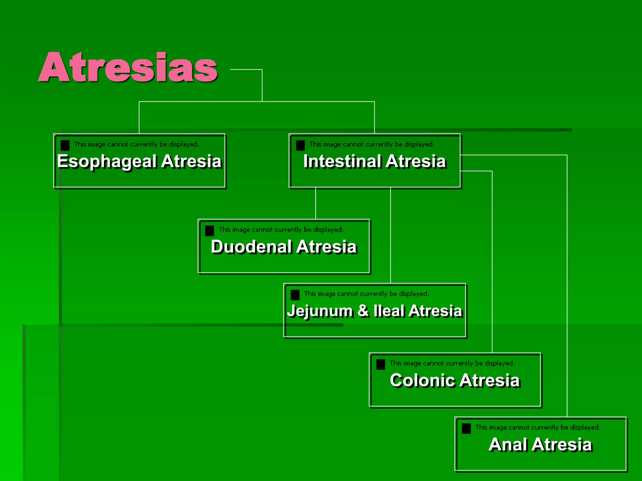 Anomalies of the Gastrointestinal Tract and Anterior Abdominal.ppt
