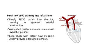 Anomalies of the systemic venous return.pptx | Heart and Cardiovascular ...