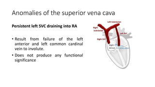 Anomalies of the systemic venous return.pptx | Heart and Cardiovascular ...