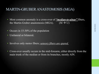 Anomalous Innervation.ppt