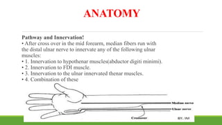 Anomalous innervations | PPTX