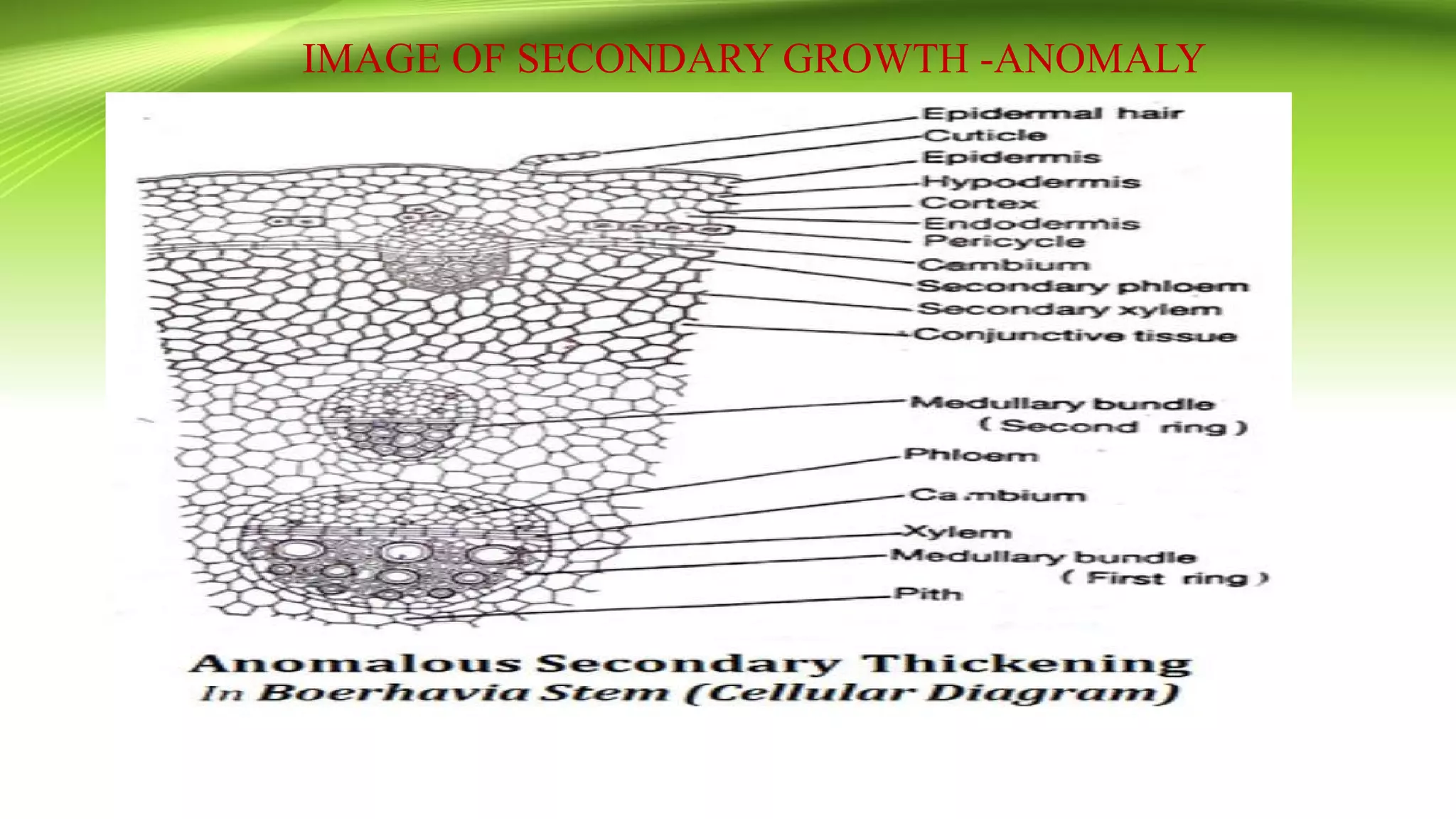Anomalous secondary growth in Plants with special reference to Bignonia ...