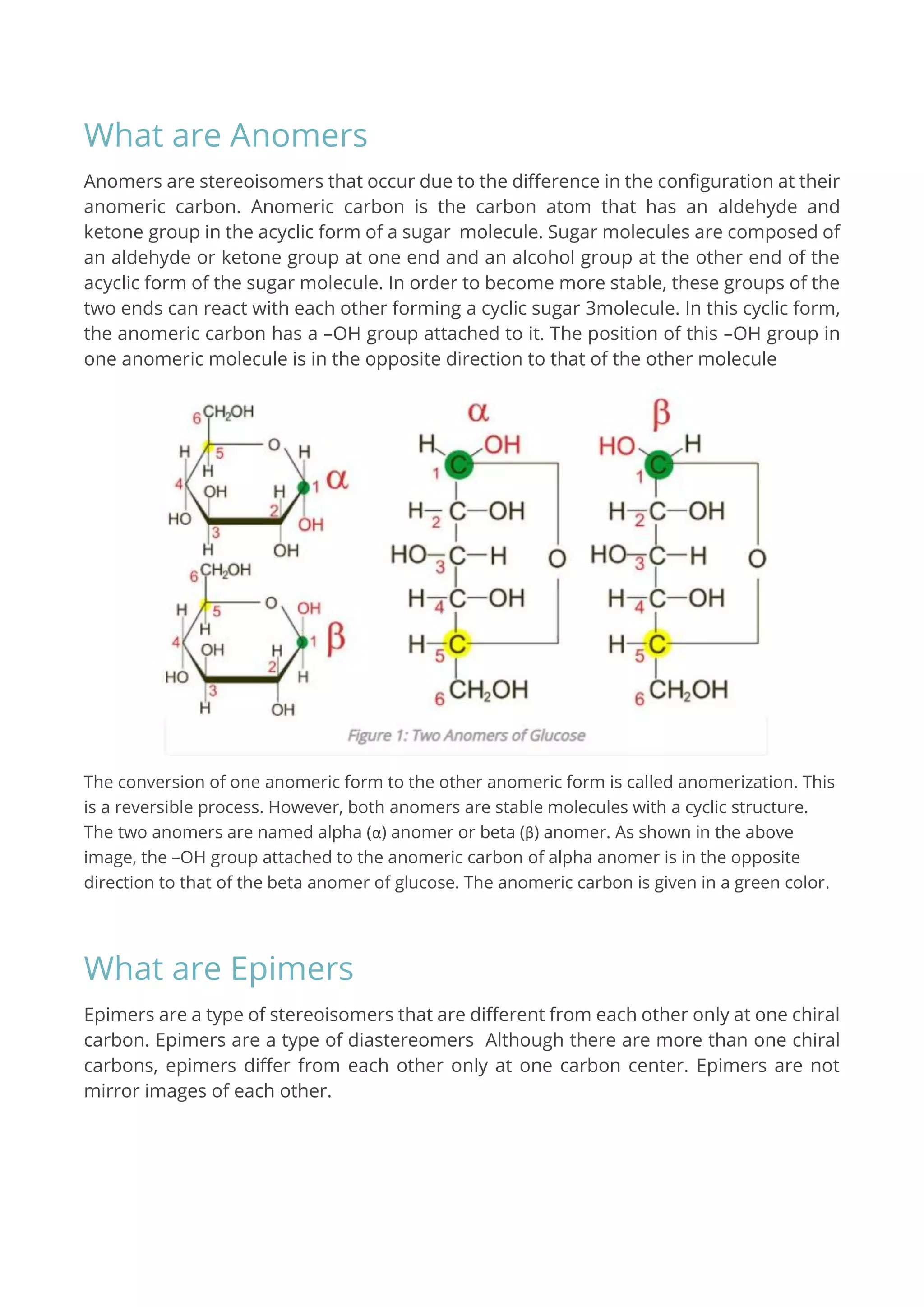 Anomers and epimers | PDF