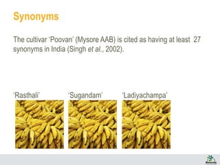 An online checklist of banana cultivars | PPTX