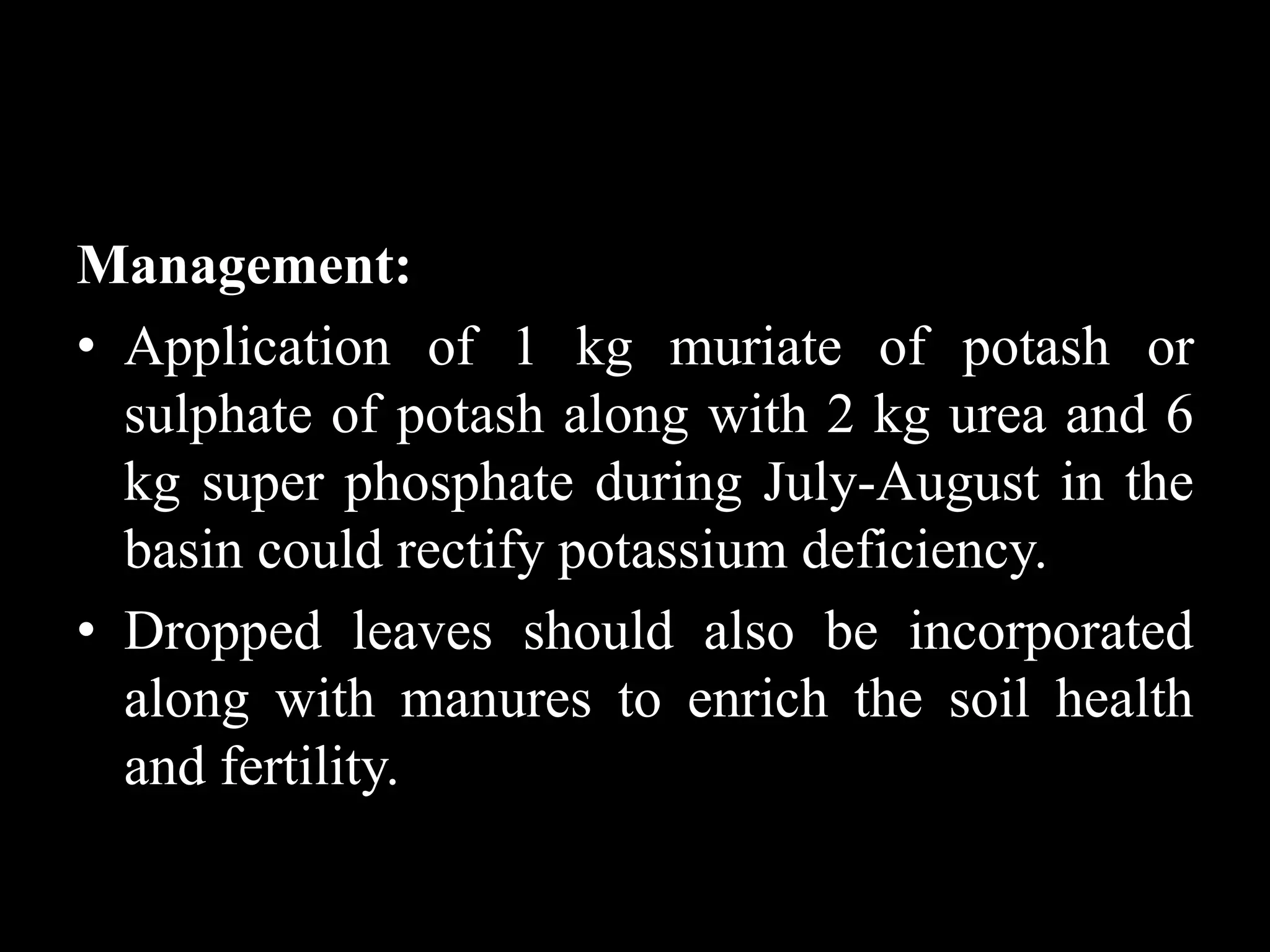 Deficiency diseases of mango | PPTX