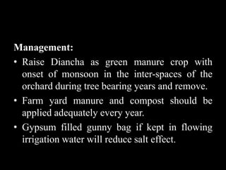 Deficiency diseases of mango | PPTX