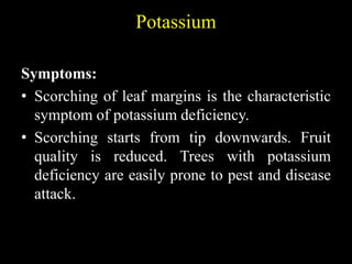 Deficiency diseases of mango | PPTX