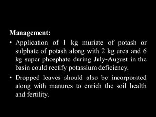 Deficiency diseases of mango | PPTX