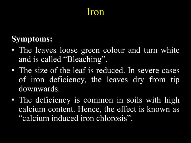 Deficiency diseases of mango | PPTX | Blood Disorders | Diseases and ...