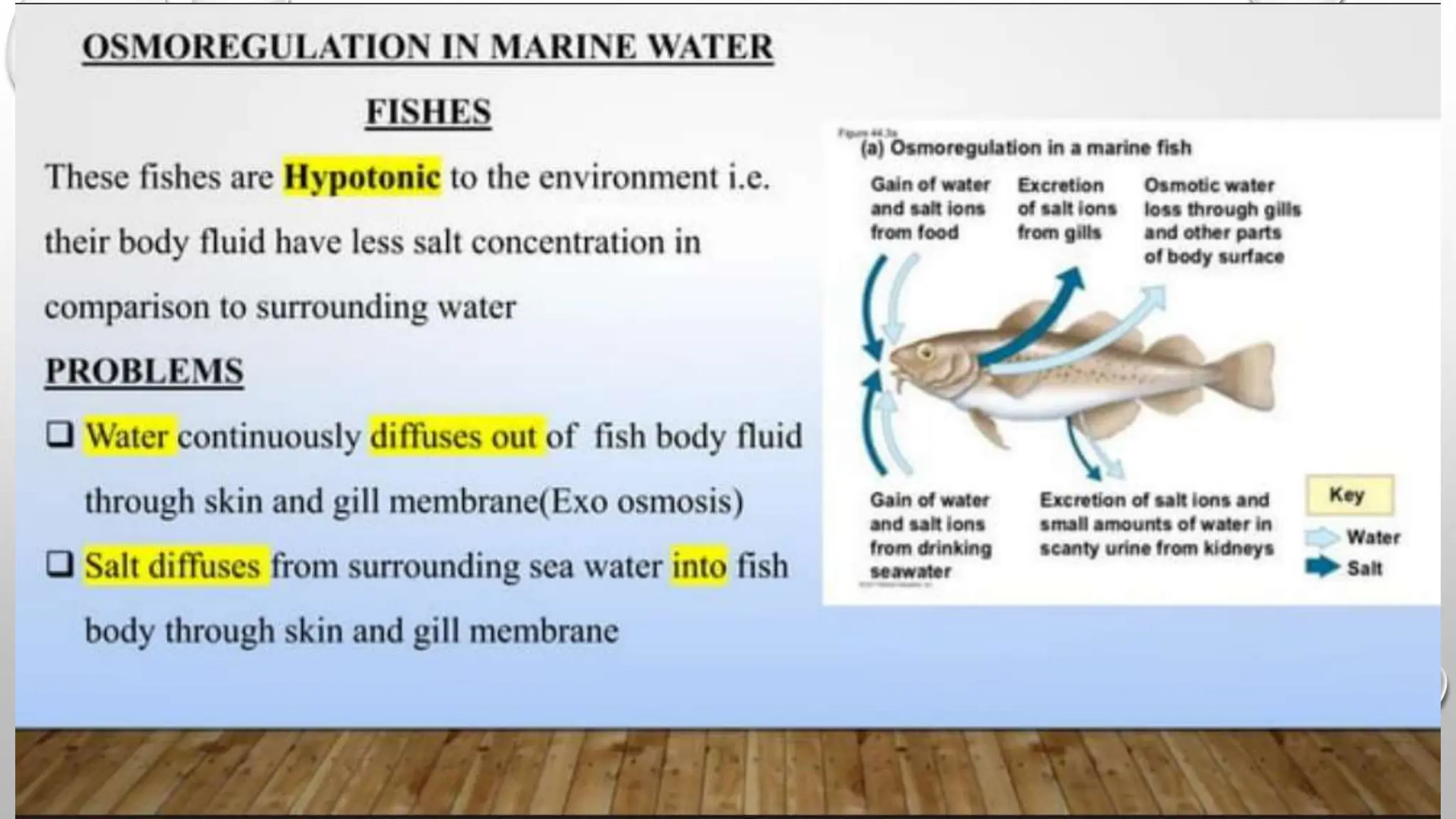 ANOOP KUMAR 21 OSMOREGULATION IN FISHES.pptx