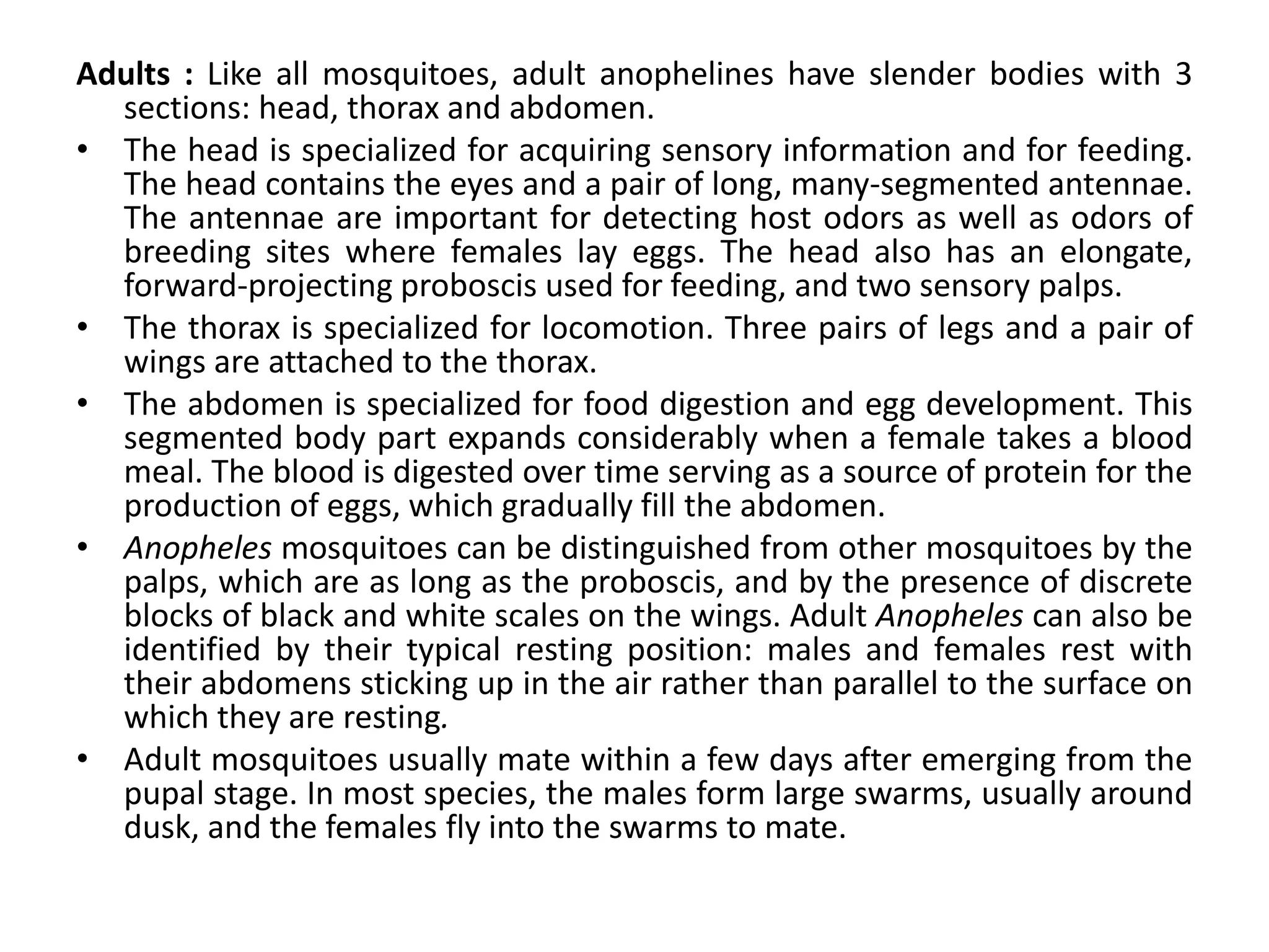 Anopheles | PPTX