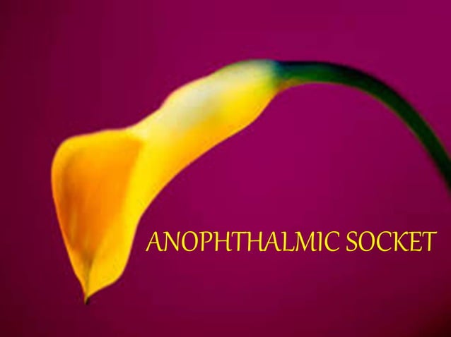 Anophthalmic socket | PPT