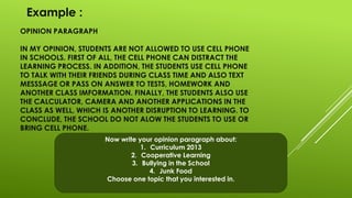 An opinion paragraph | PPTX