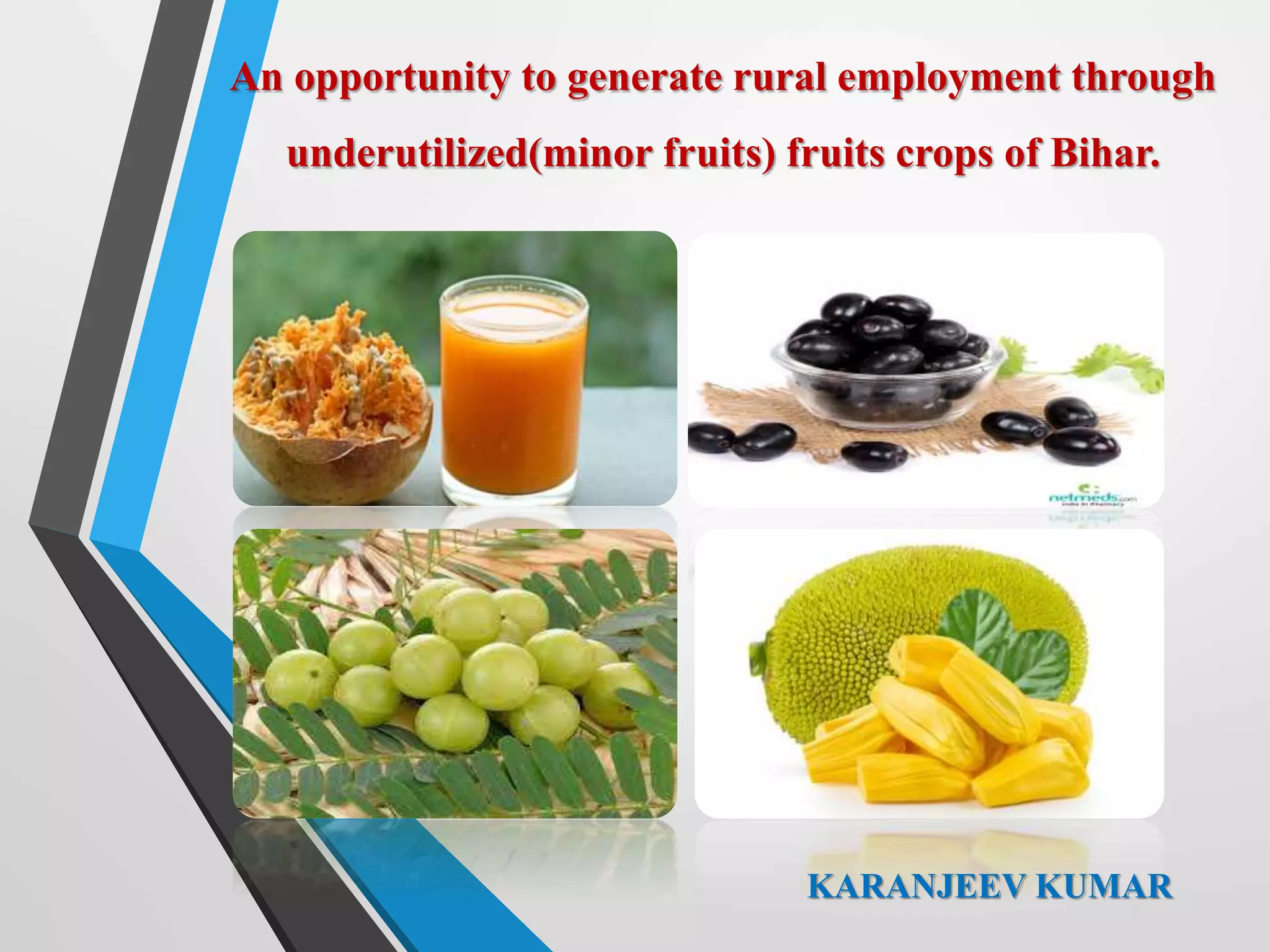 Generate rural employment through underutilized minor fruits of Bihar | PPT