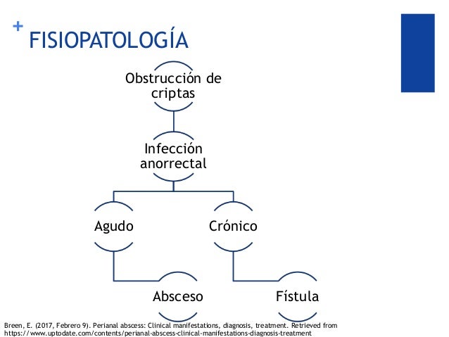 Absceso y fístula anorrectal