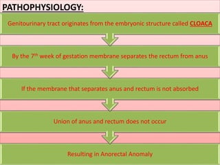 Anorectal Malformation | PPTX