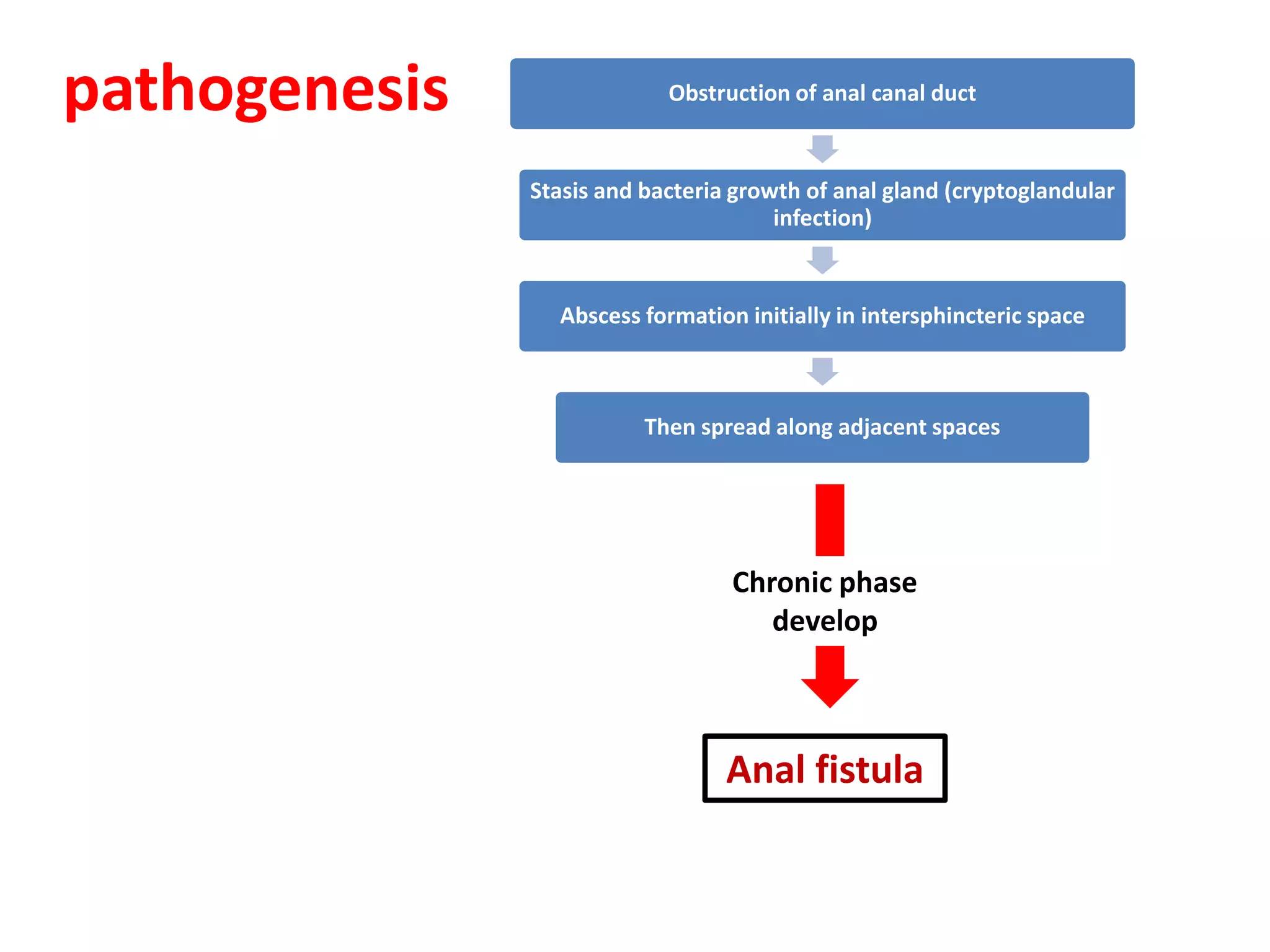 Anorectal abscess | PDF