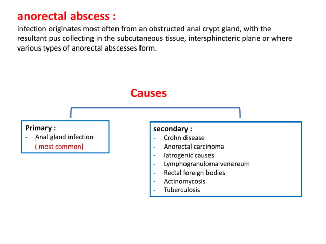 Anorectal abscess | PDF
