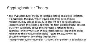 Anorectal Abscess.pptx