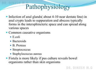 Anorectal abscess & Anal fistulae | PPTX