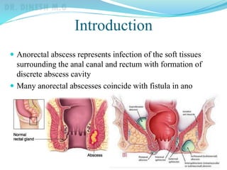 Perineal Abscess Male