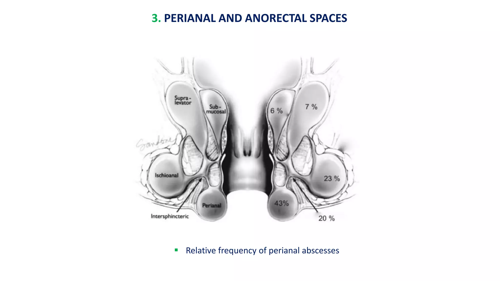 Anorectal abscess and fistula in ano | PPT | First Aid | Injuries