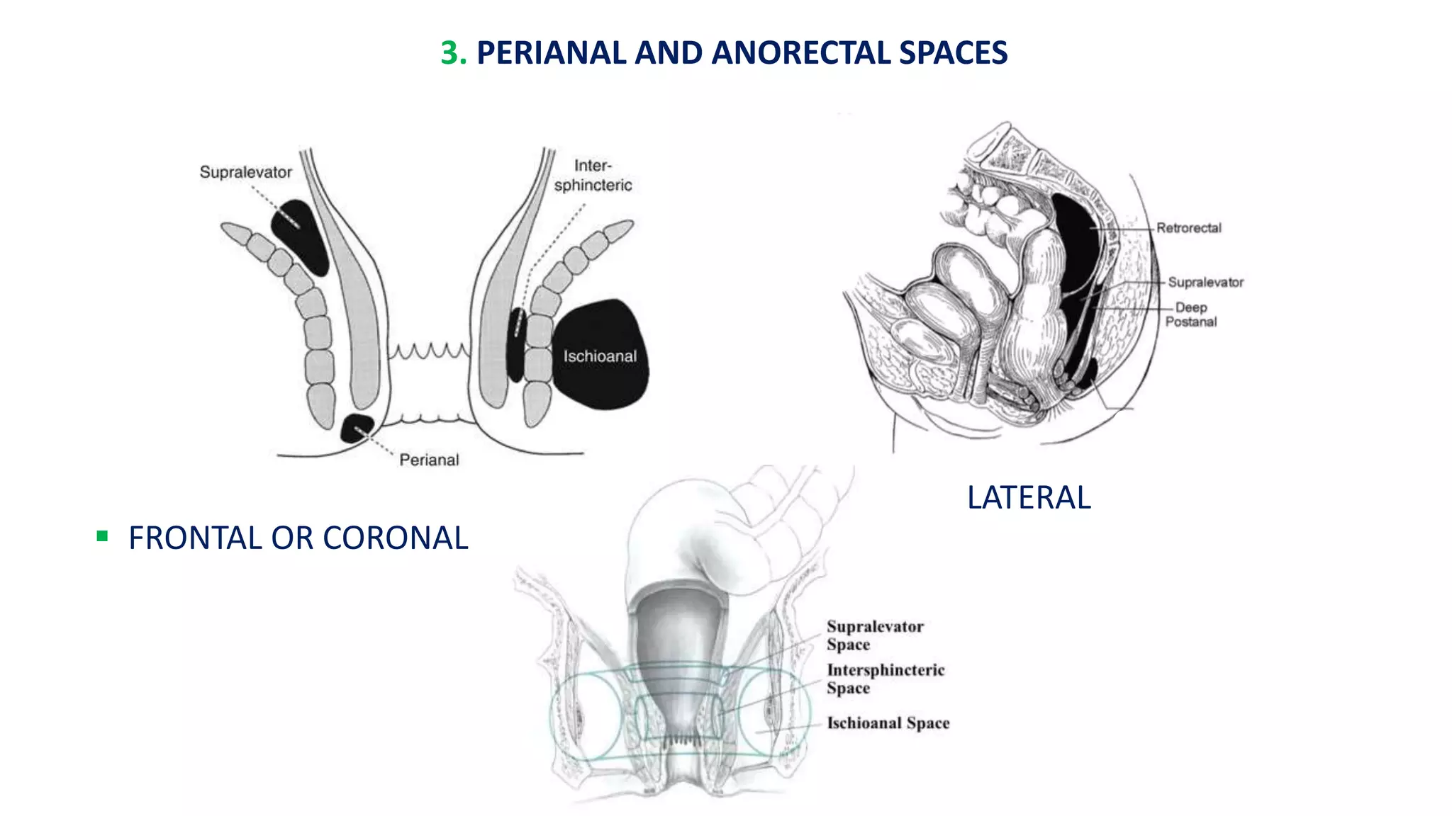 Anorectal abscess and fistula in ano | PPT | First Aid | Injuries