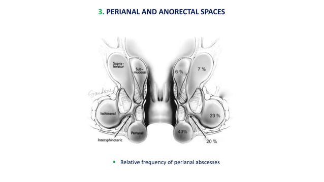 Anorectal abscess and fistula in ano | PPT | First Aid | Injuries