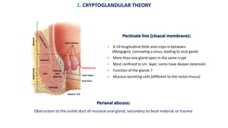 Anorectal abscess and fistula in ano | PPT