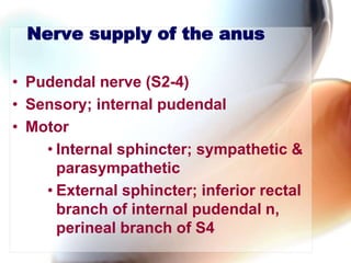 Ano rectal anatomy | PPTX