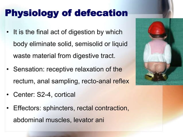 Ano rectal anatomy | PPTX | Obscenity and Profanity | Sensitive Topics