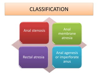 Anorectal Malformation | PPTX | Pregnancy | Reproductive Health