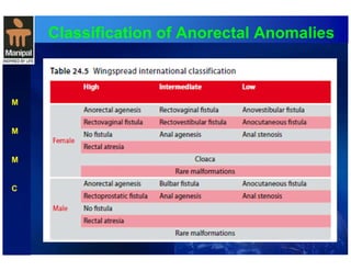 Anorectal anomaly(Imperforate Anus) | PDF