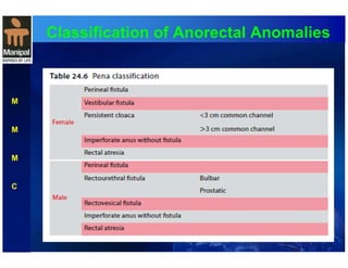 Anorectal anomaly(Imperforate Anus) | PDF