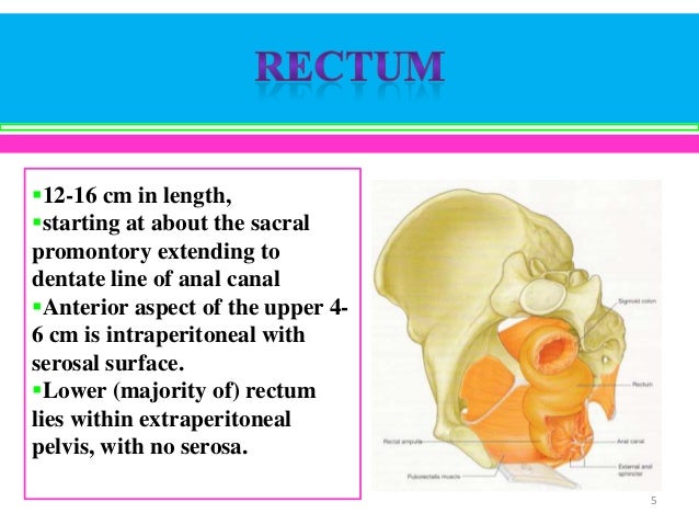 Anorectal diseases