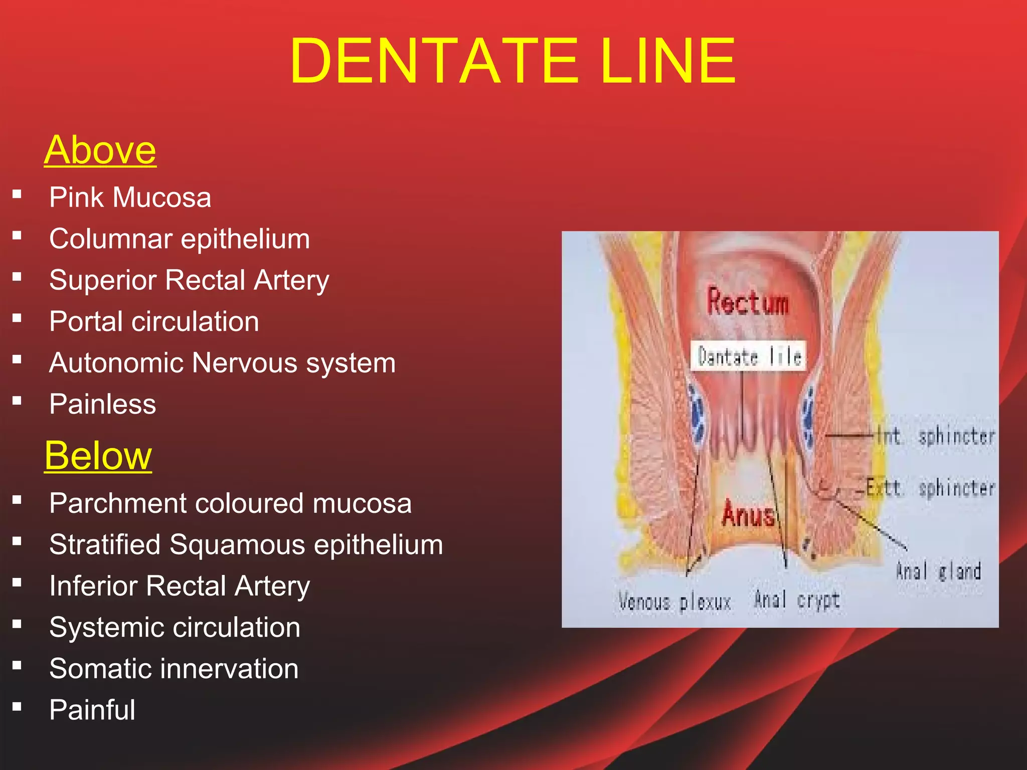 Anorectal diseases | PPT