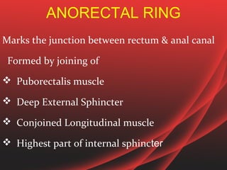 Anorectal diseases | PPT