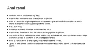 ANORECTAL DISORDERS IN DETAIL INCLUDING BENIGN.pptx
