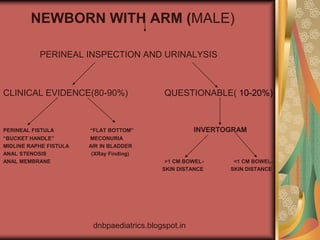 ARM | PPT