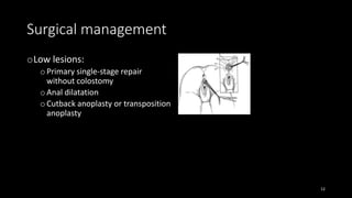 Anorectal malformation-Jimma University | PPTX