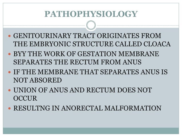 Anorectal malformation ........ | PPTX | Pregnancy | Reproductive Health