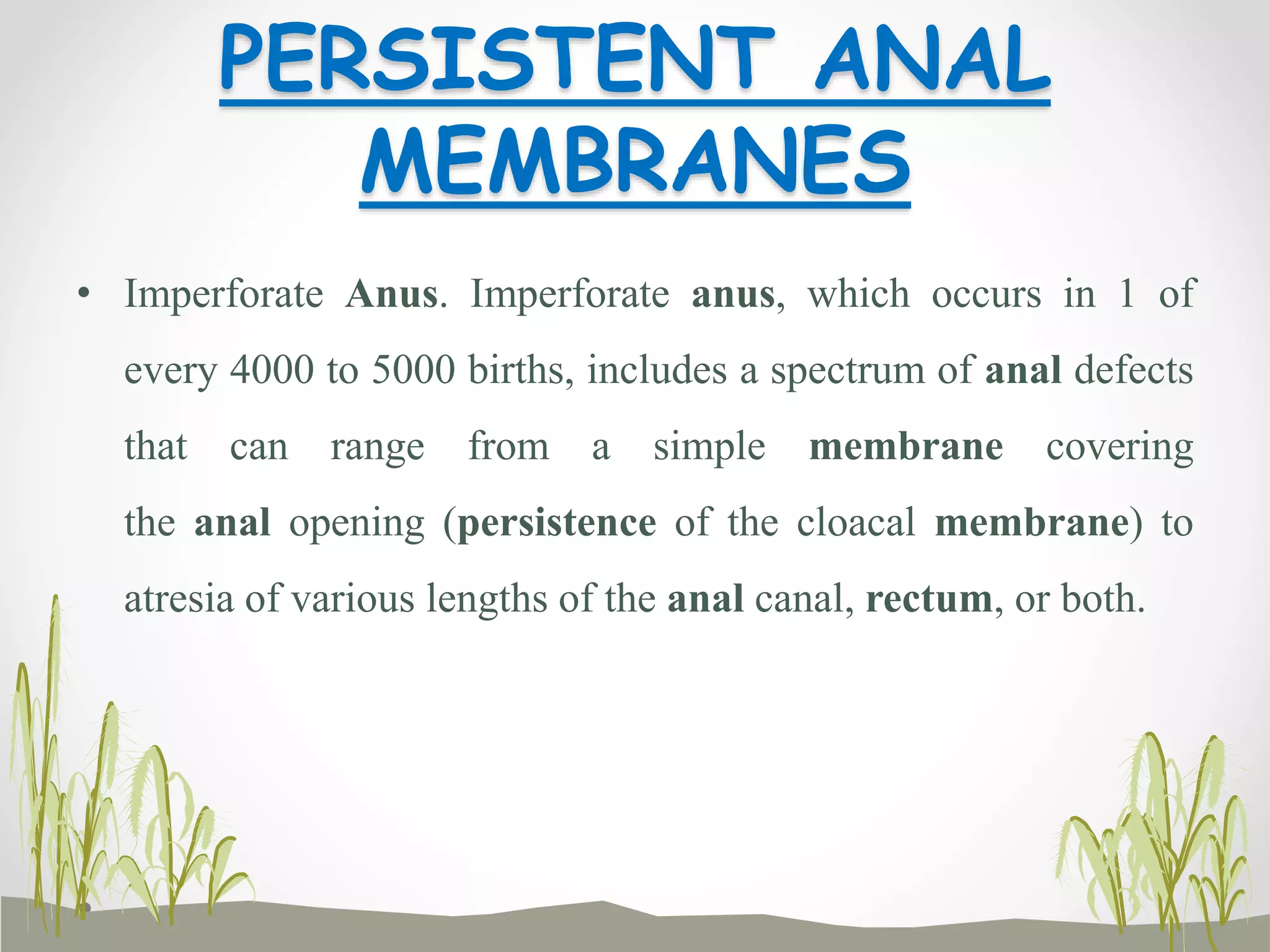 Anorectal malformation | PPTX