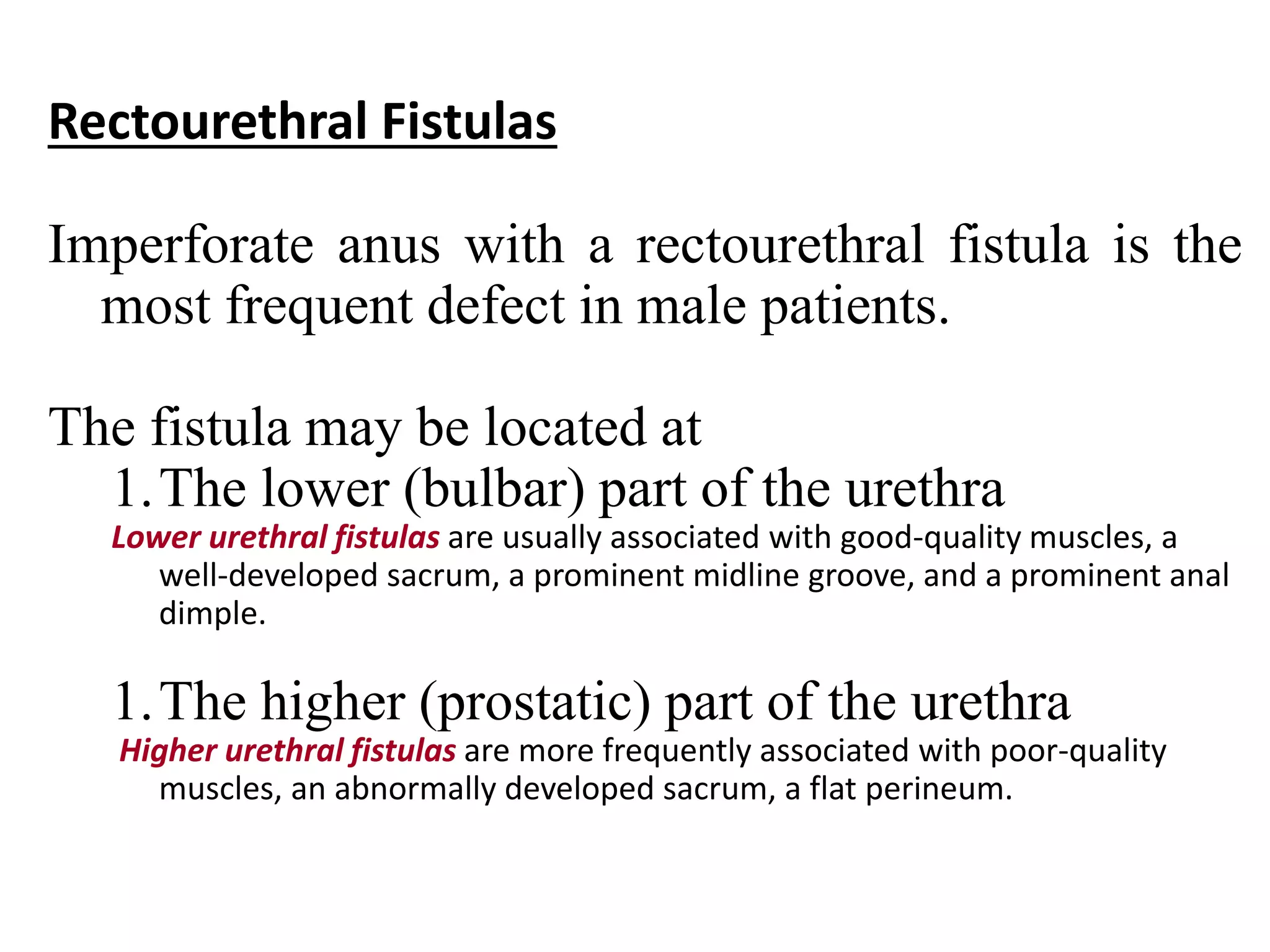 Anorectal malformation seminar | PPTX