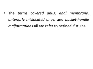 Anorectal malformation seminar | PPTX