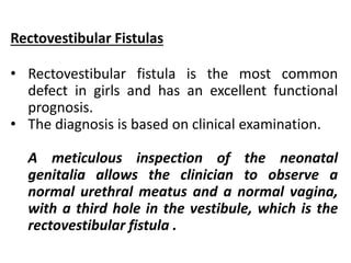 Anorectal malformation seminar | PPTX