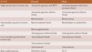 Anorectal malformation (embryology and classification) [Autosaved].pptx