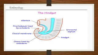 Anorectal malformation (embryology and classification) [Autosaved].pptx