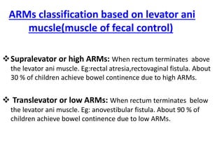 Anorectal malformation ppt 5 | PPT