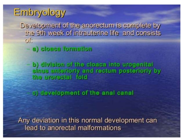 Anorectal malformation ppt 5 | PPT | Digestive Disorders | Diseases and ...